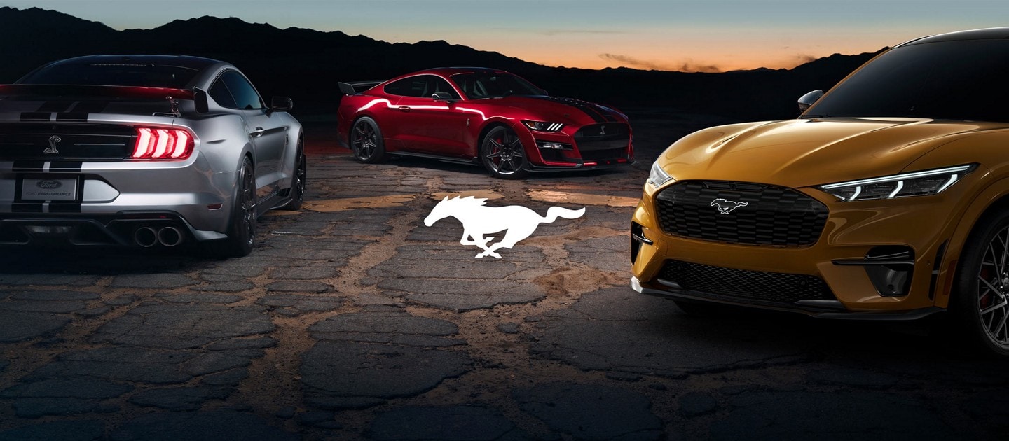 La famille Ford® Mustang | La clameur du rodéo